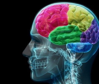 #MindControl: Brain-controlled Robotic Legs | Emerj Artificial ...