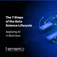 The 7 Steps of the Data Science Lifecycle – Applying AI in Business ...
