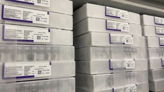 Artificial Intelligence at Pfizer - 3 Use Cases - Emerj Artificial ...